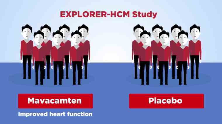 Mavacamten: A Plain Language Summary of EXPLORER – HCM – HCM Beat